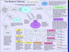 Sick Building Syndrome: Another Stop Along the Biotoxin Pathway