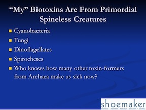 Sick Building Syndrome: Another Stop Along the Biotoxin Pathway